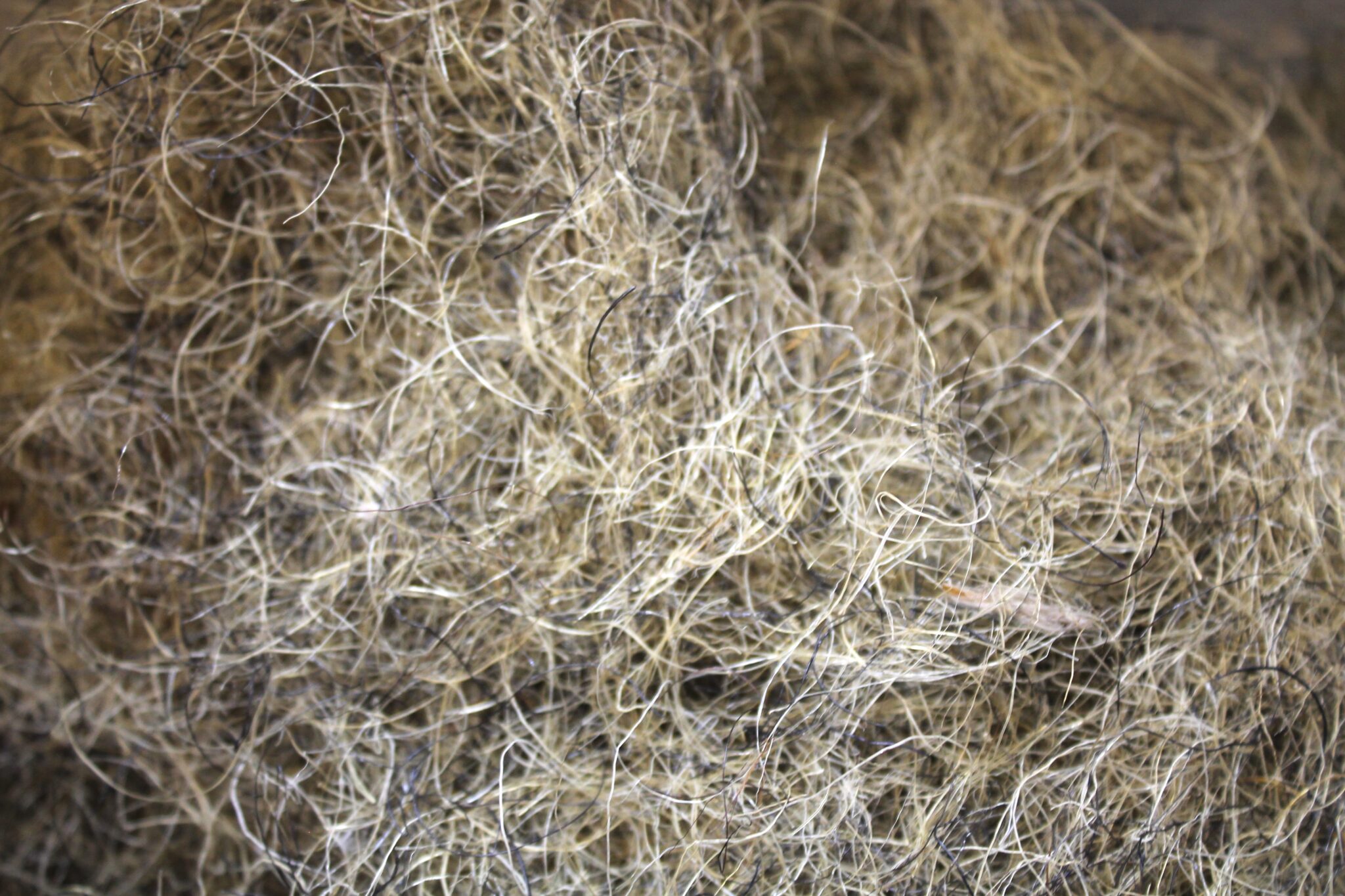 Crin Animal brun – outils de garnissage - Boutique Papymousse